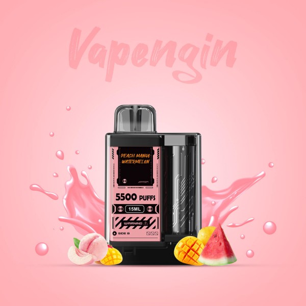 Vapengin Disposable Vape 5500 Puffs