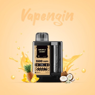 Vapengin Disposable Vape 5500 Puffs