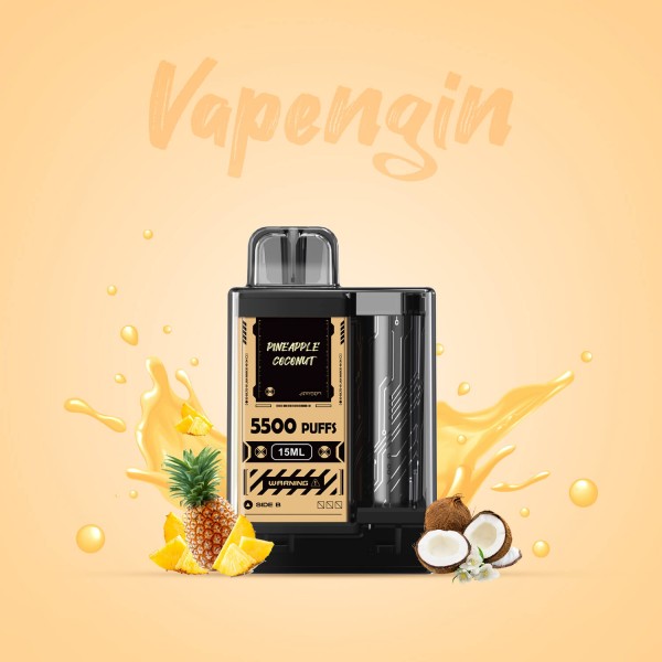 Vapengin Disposable Vape 5500 Puffs