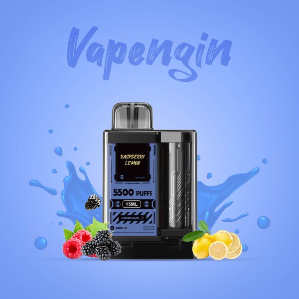 Vapengin Disposable Vape 5500 Puffs