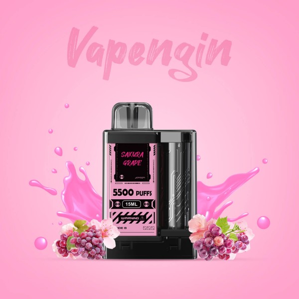 Vapengin Disposable Vape 5500 Puffs